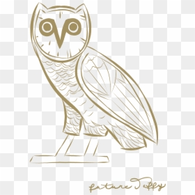 Transparent Drake Owl Logo, HD Png Download - vhv