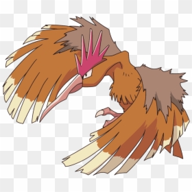 Fearow Transparent, HD Png Download - vhv