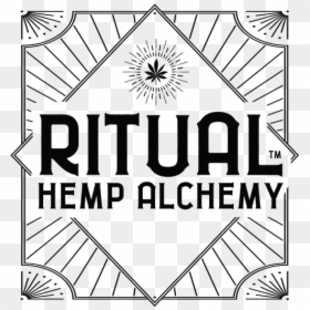 Plasmid Png, Transparent Png - vhv