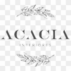 Acacia - Rainforest Tree Png, Transparent Png - vhv