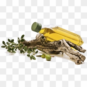 Olive Png , Png Download - Huil Olive Png, Transparent Png - vhv
