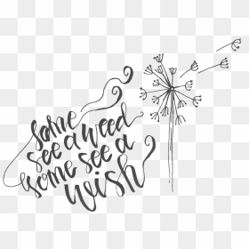 Wish - Calligraphy, HD Png Download - vhv