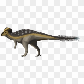 Pachycephalosaurus Paleoart, HD Png Download - vhv