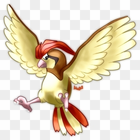 Pidgeotto Png, Transparent Png - vhv