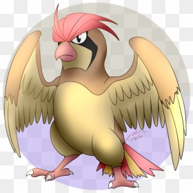 Pidgeotto Png, Transparent Png - vhv