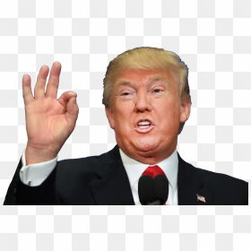 Thumb Image - Transparent Png Trump Png, Png Download - vhv
