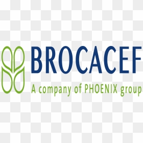 Brocacef Vector Logo, HD Png Download - vhv
