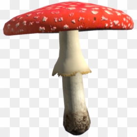 Amanita Png, Transparent Png - vhv