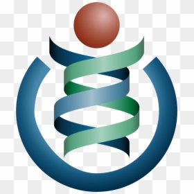 Wikispecies Logo, HD Png Download - vhv